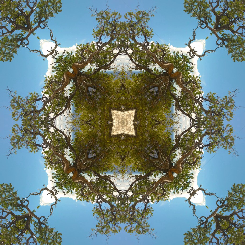 Lesson 7 • What colour is light? | Primary Connections